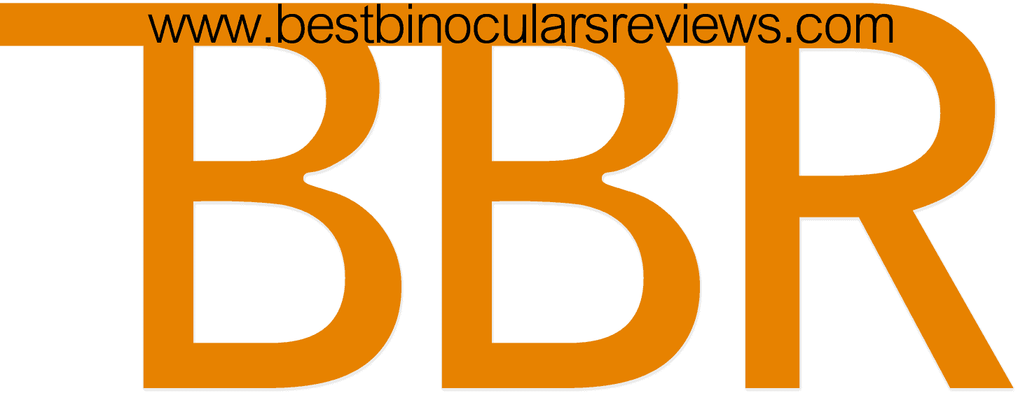 BGFG - Media Publisher | Ecommerce | Agency | SaaS